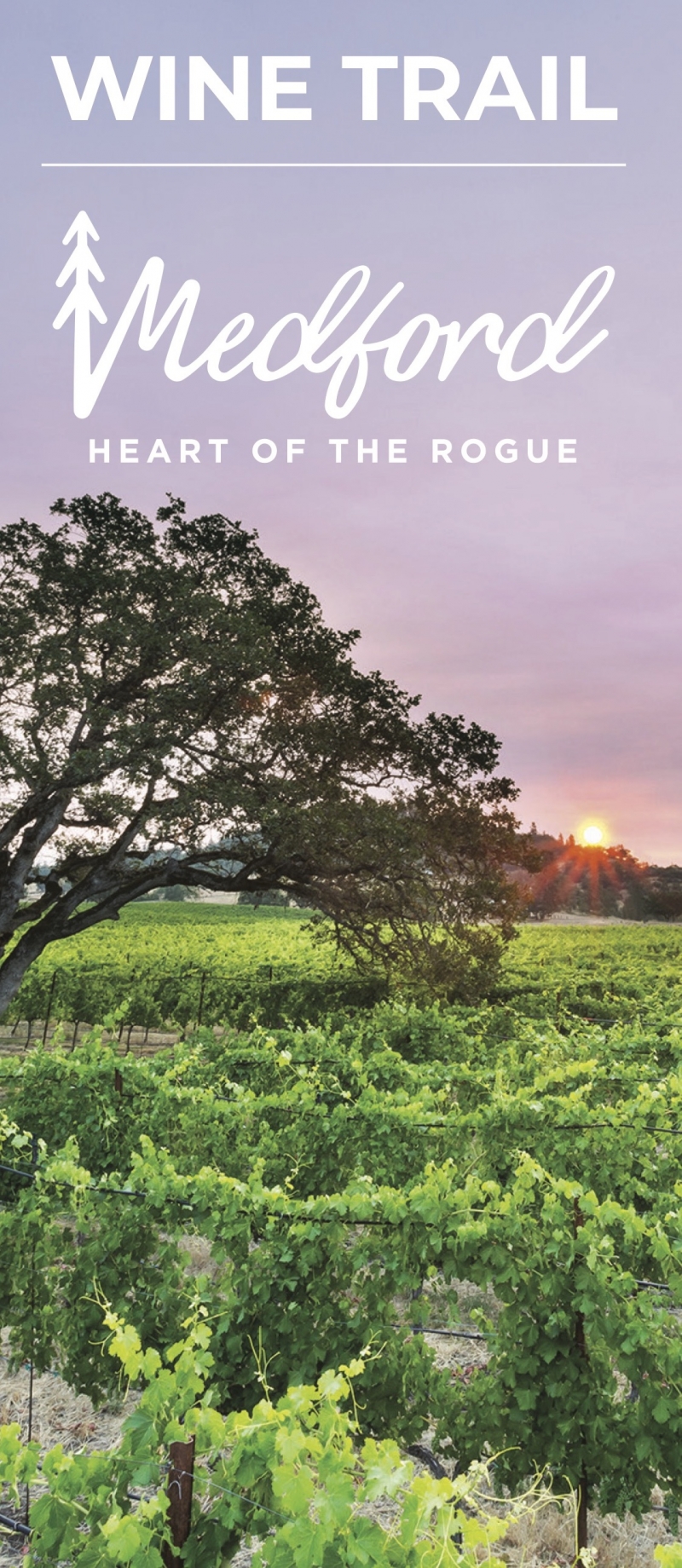 The Ultimate Guide To Rogue Valley Wine Tasting | travelmedford.org