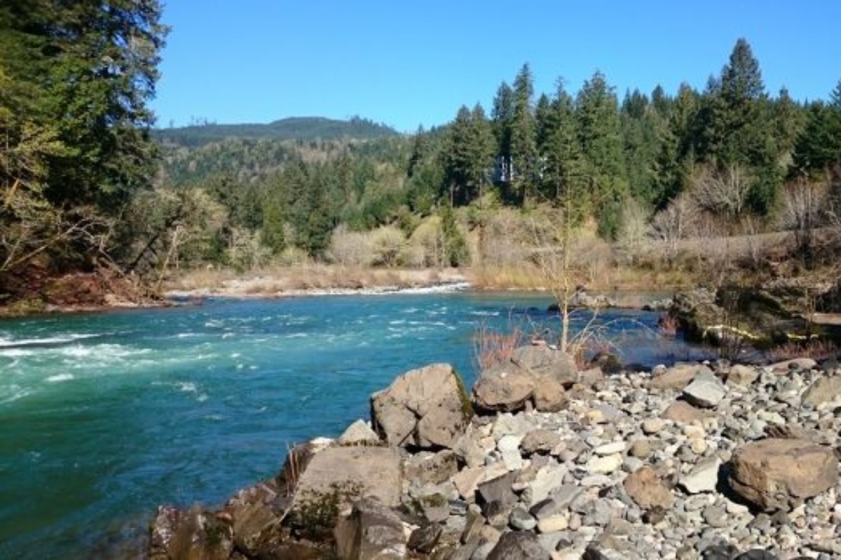 The Top Fun Things to Do & See in Medford & Southern Oregon