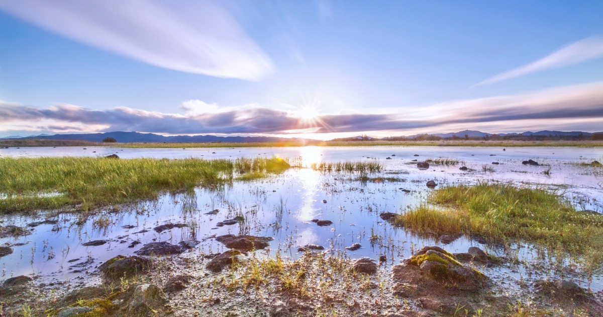 Top 4 Spots to Go Hiking this Spring
