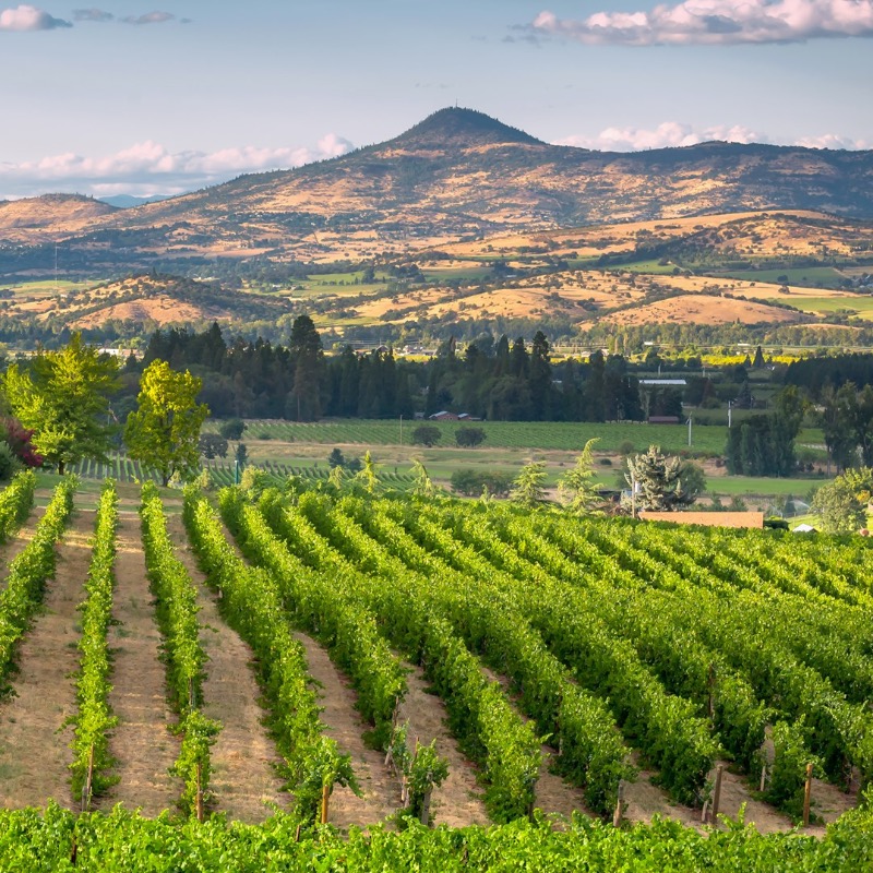 Discover The Best Of Medford & The Rogue Valley