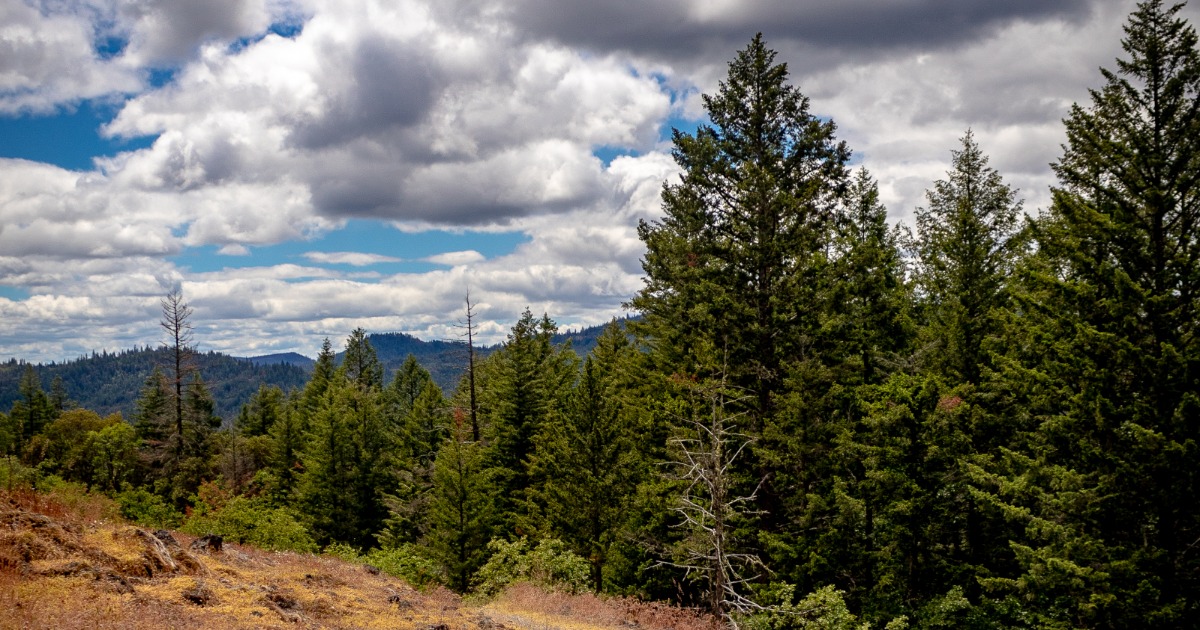 Hiking Trails In Southern Oregon