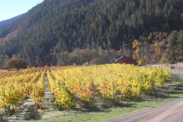 Applegate Wine Trail: A perfect tour of Oregon's Applegate Valley