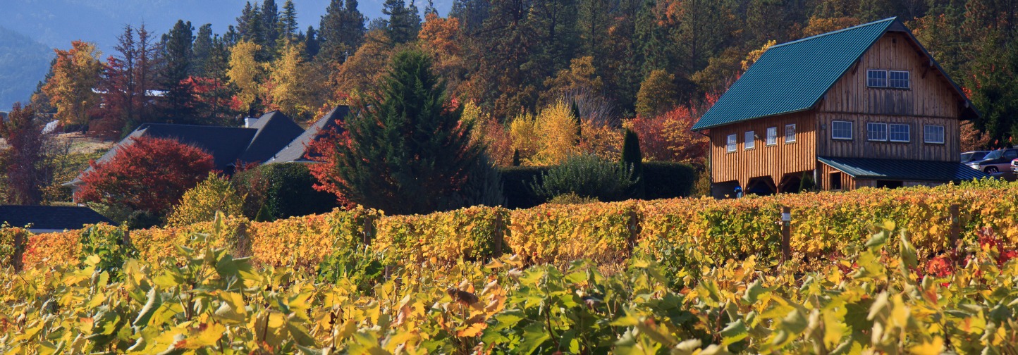 Favorite Fall And Harvest Activities In Southern Oregon | travelmedford.org